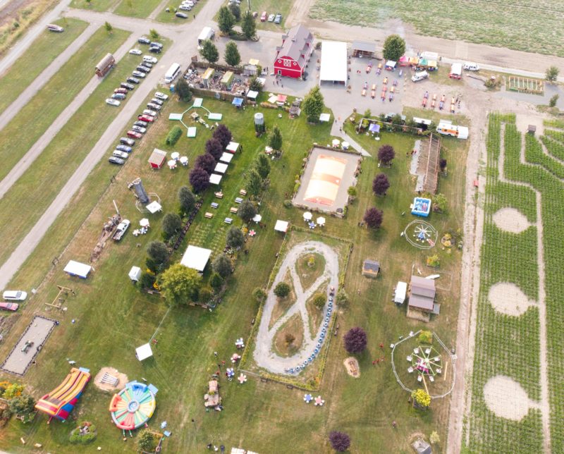 Monkey Motion Bungee Trampoline · Party & Picnic Rental