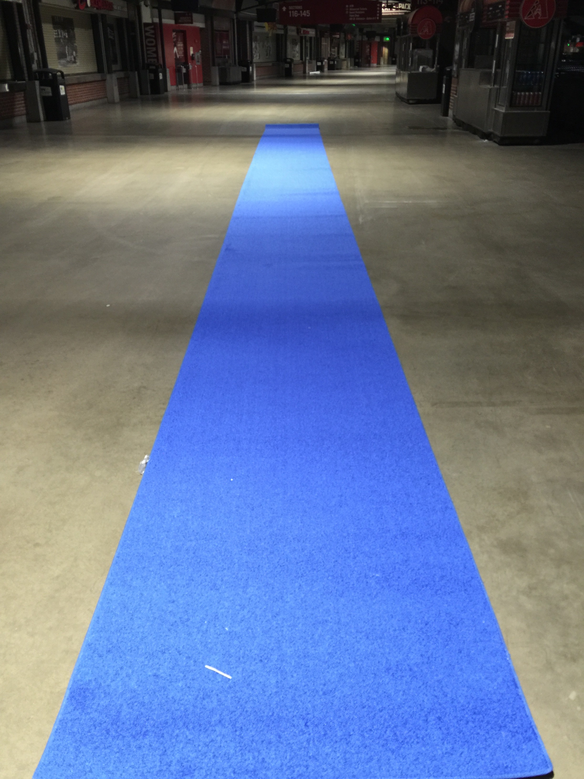 Blue Runner Carpet Event Decor Rental · National Event Pros