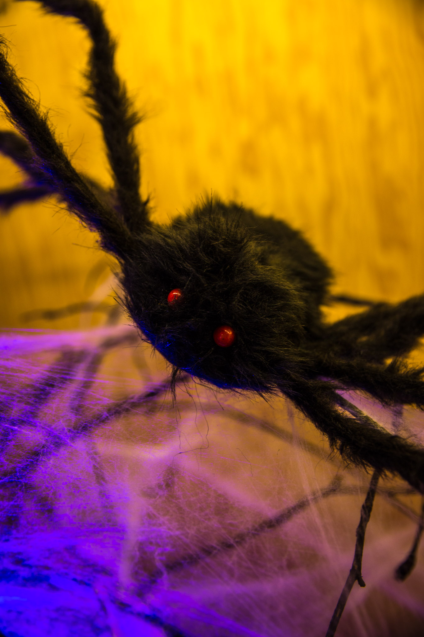 Halloween Hackathon · National Event Pros