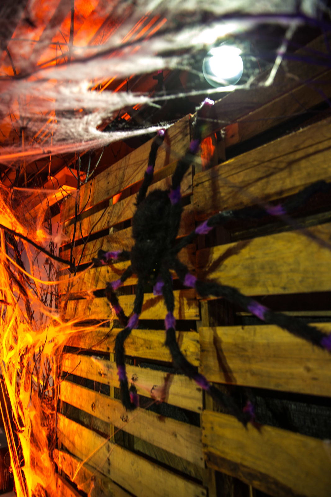 Halloween Hackathon · National Event Pros