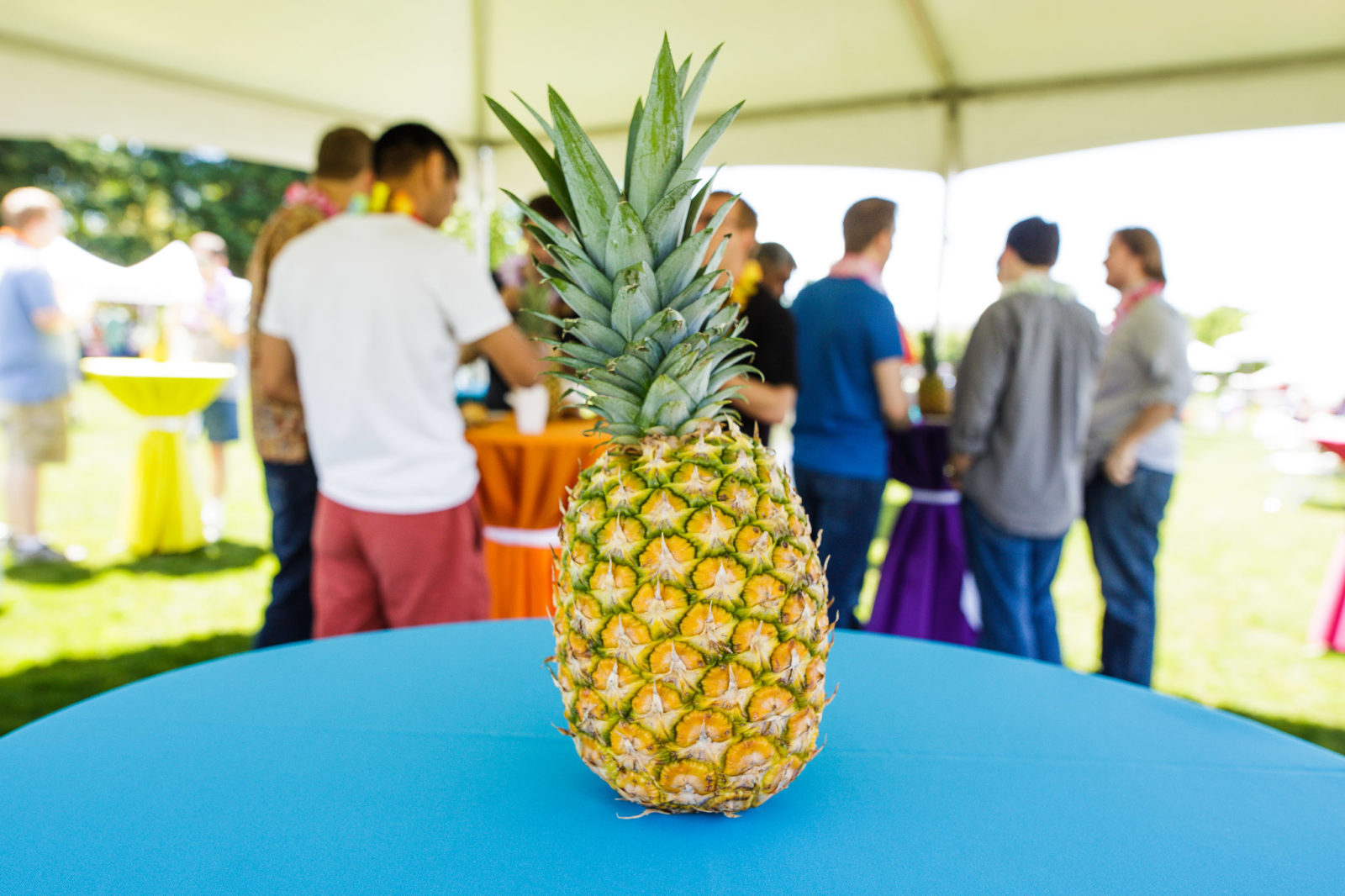 Summer Luau · National Event Pros