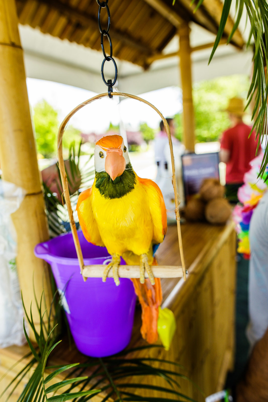 Summer Luau · National Event Pros