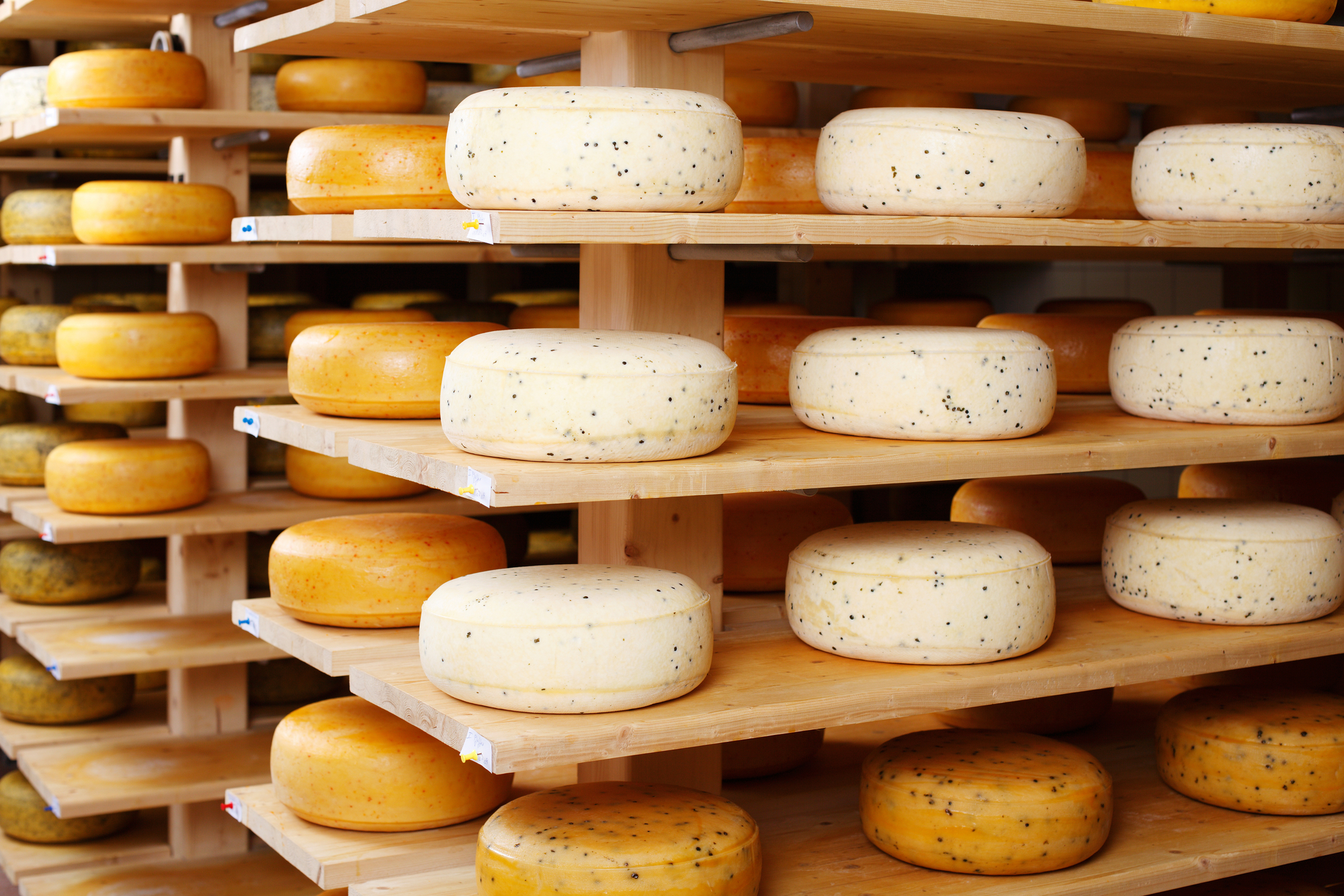 Creative Event Themes: Cheesemaking Party